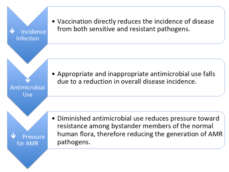 Role of Vaccines in Preventing and Reducing AMR