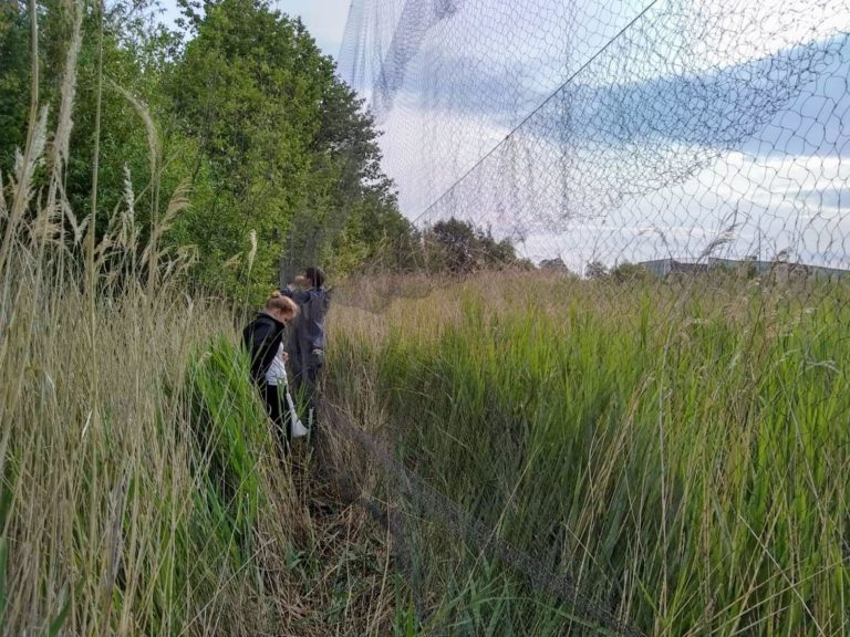 Biology toolbox: ecological sampling