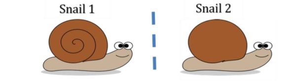 Technical Words in Every Day Chemistry – a Glossary