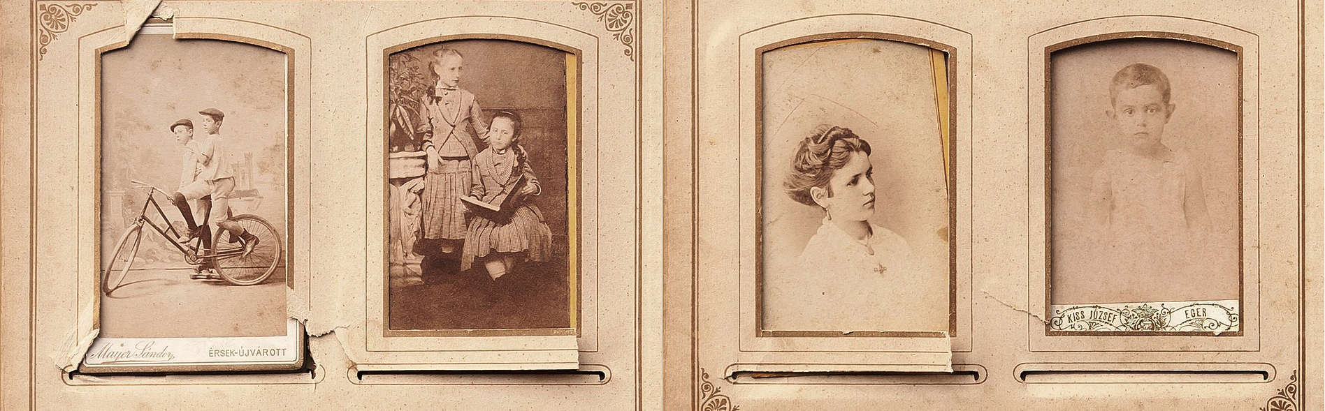 Why is understanding your family tree important? - FutureLearn